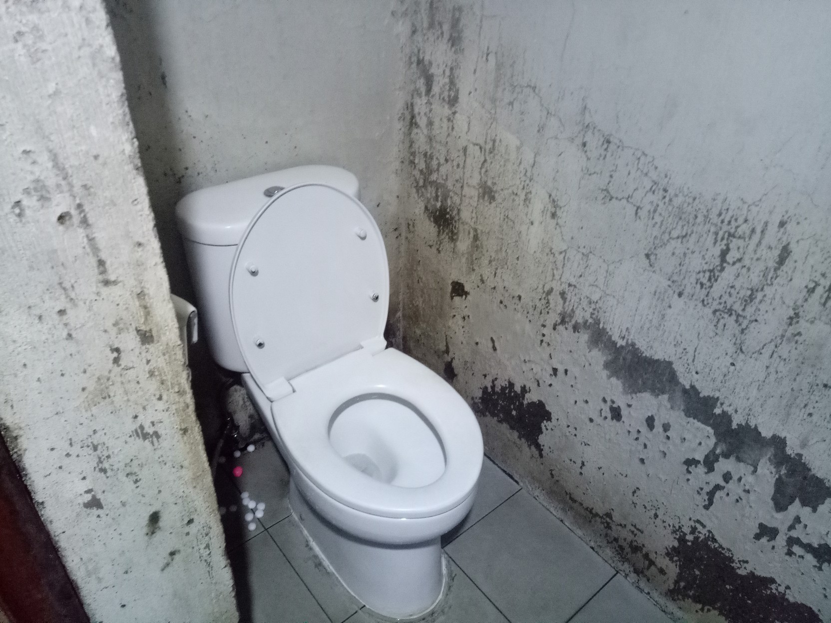 Villa Agus 5, sewa villa di puncak ada kolam renang, billiard & karaoke ...